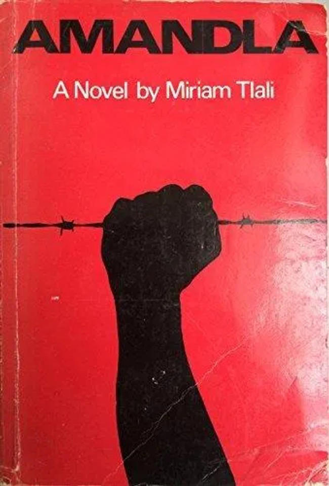 Pages of protest: The books that fired up South Africa’s youth ...
