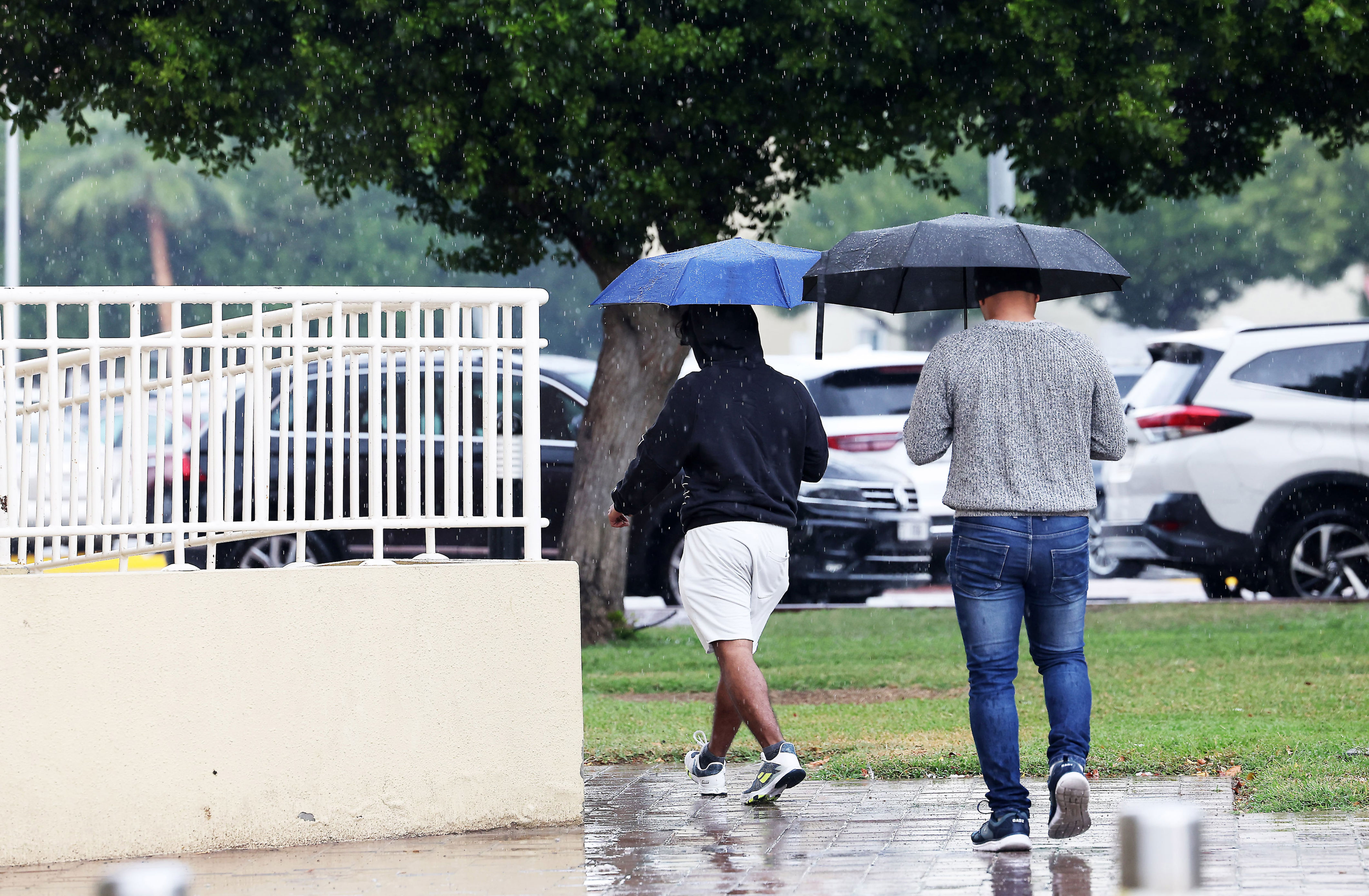 UAE weather: Rain, fog and strong winds expected in some areas this week