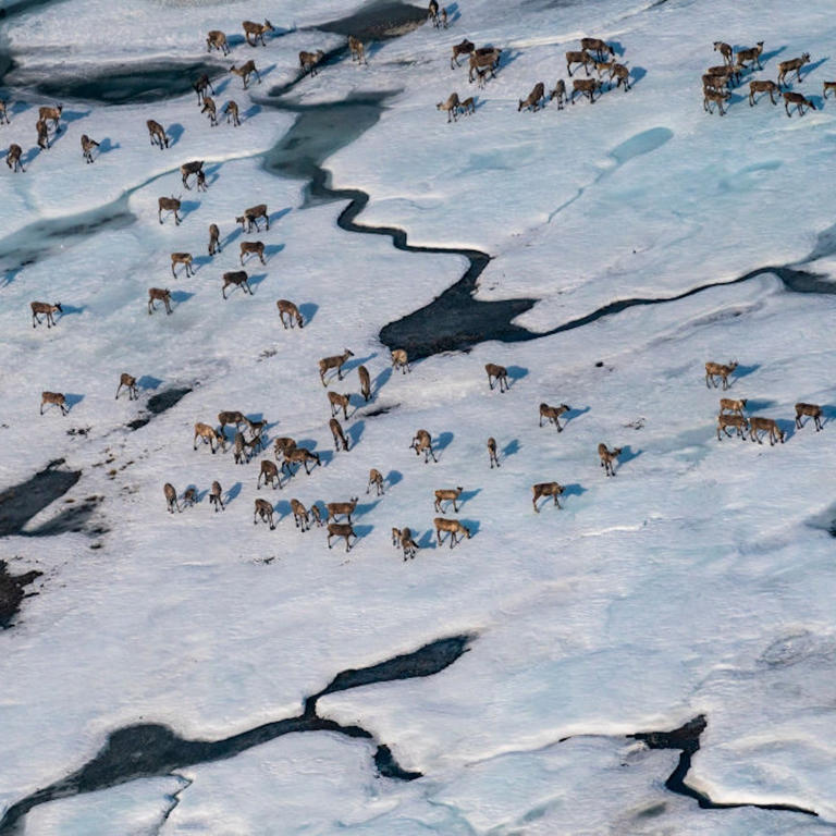 The 10 public lands we’re on the verge of losing