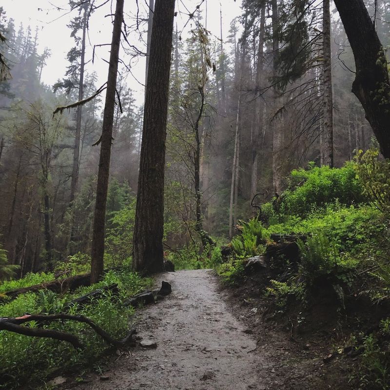 Tucked deep within an Oregon forest lies a hidden oasis of steaming ...