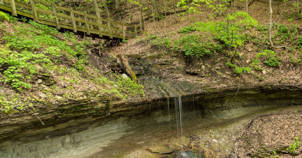 8 Iowa Airbnbs near waterfall trails you'll want to explore