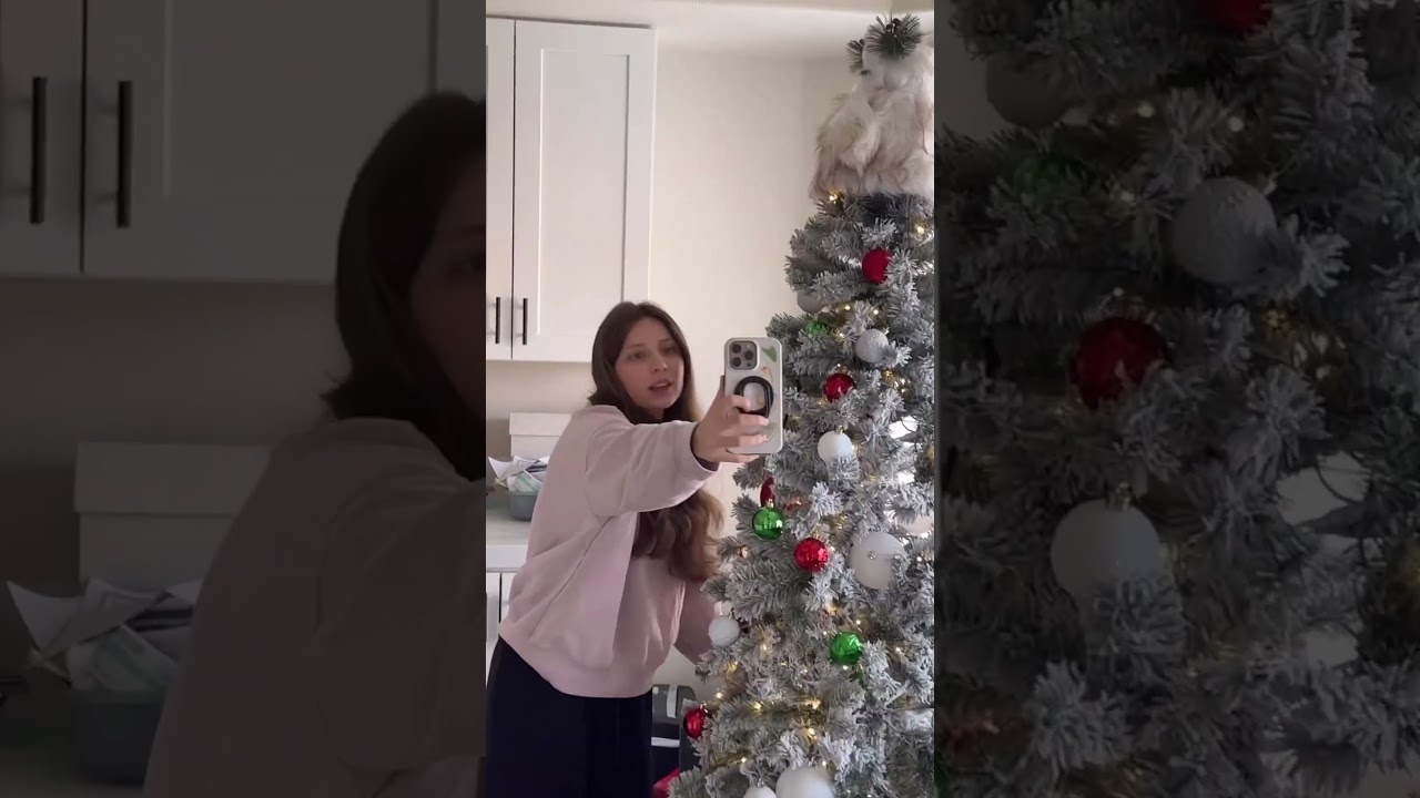 Bold man attempts viral moment with cute chinchilla tree