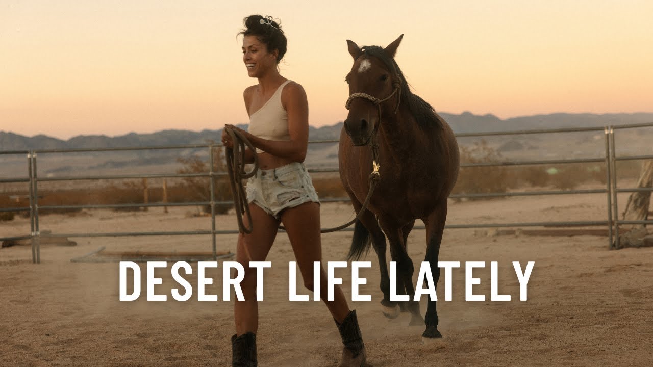 Life in the desert and expanding our property