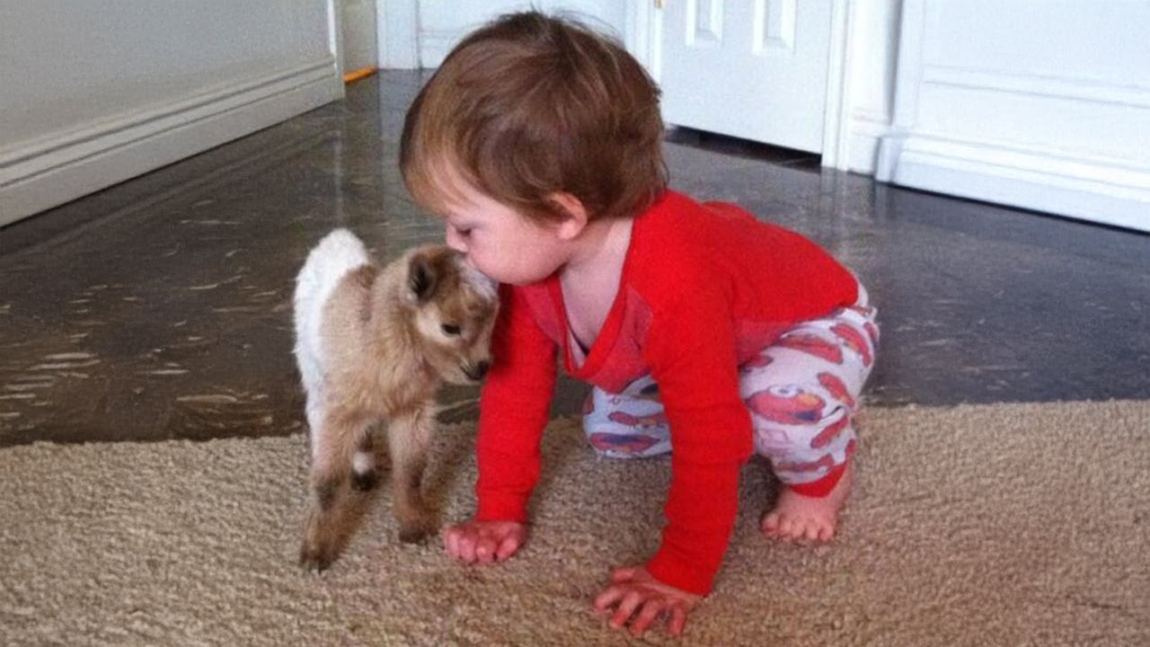 Sweetest baby and animal moments around the world show pure love