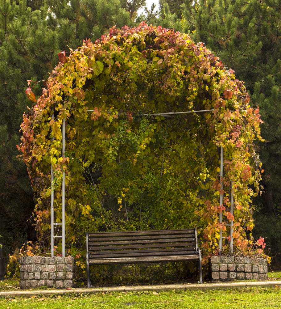 20 tips for designing a kid-friendly garden that’s also beautiful