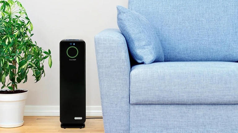 8 major air purifier brands ranked worst to best, according to Consumer ...