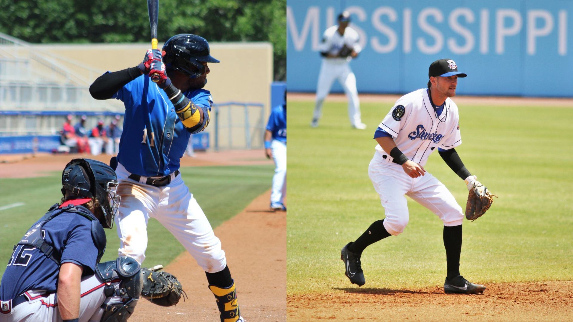 Former Shuckers guaranteed to win World Baseball Classic title