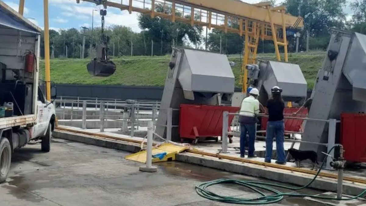 Hallaron un feto en una planta de líquidos cloacales de Córdoba: lo que ...