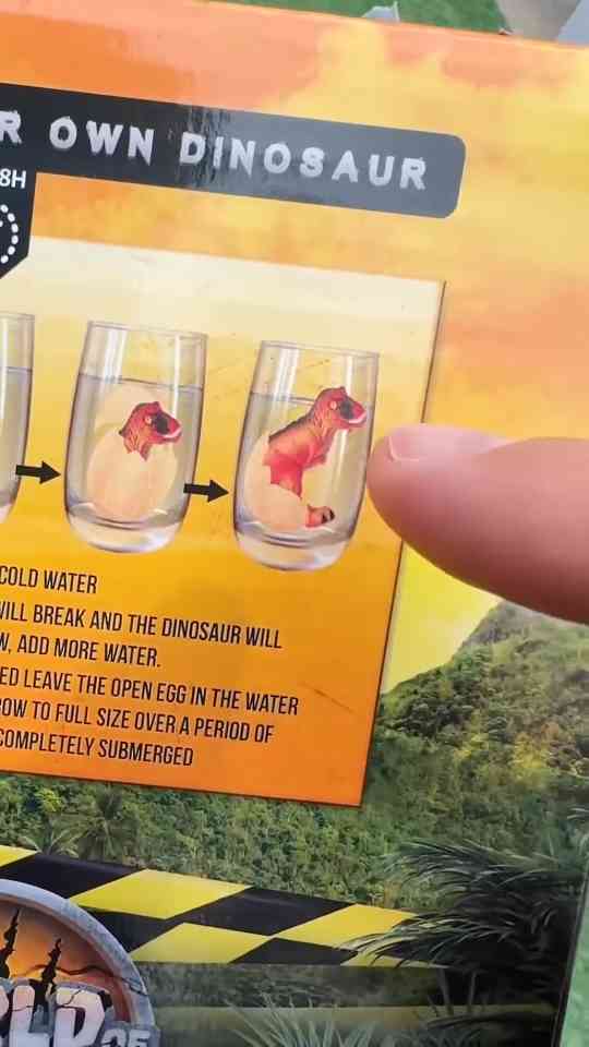 The T-Rex egg experiment everyone wanted to see
