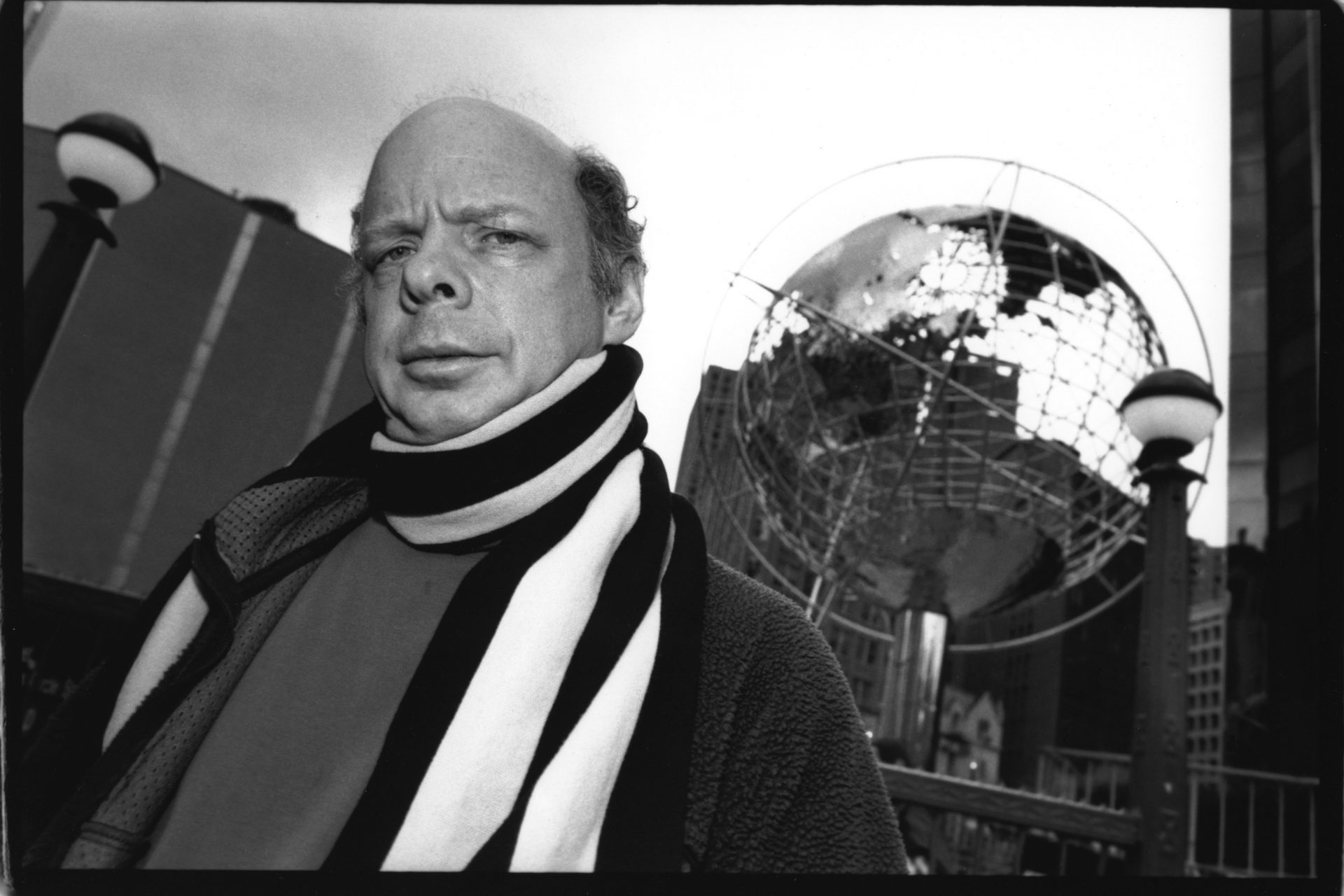 What do you know about Wallace Shawn, accomplished actor and renowned ...