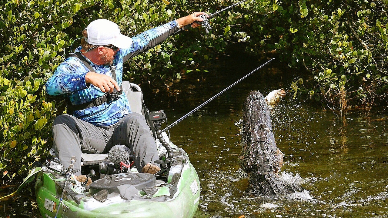 They thought they found the perfect fishing spot until the alligators ...