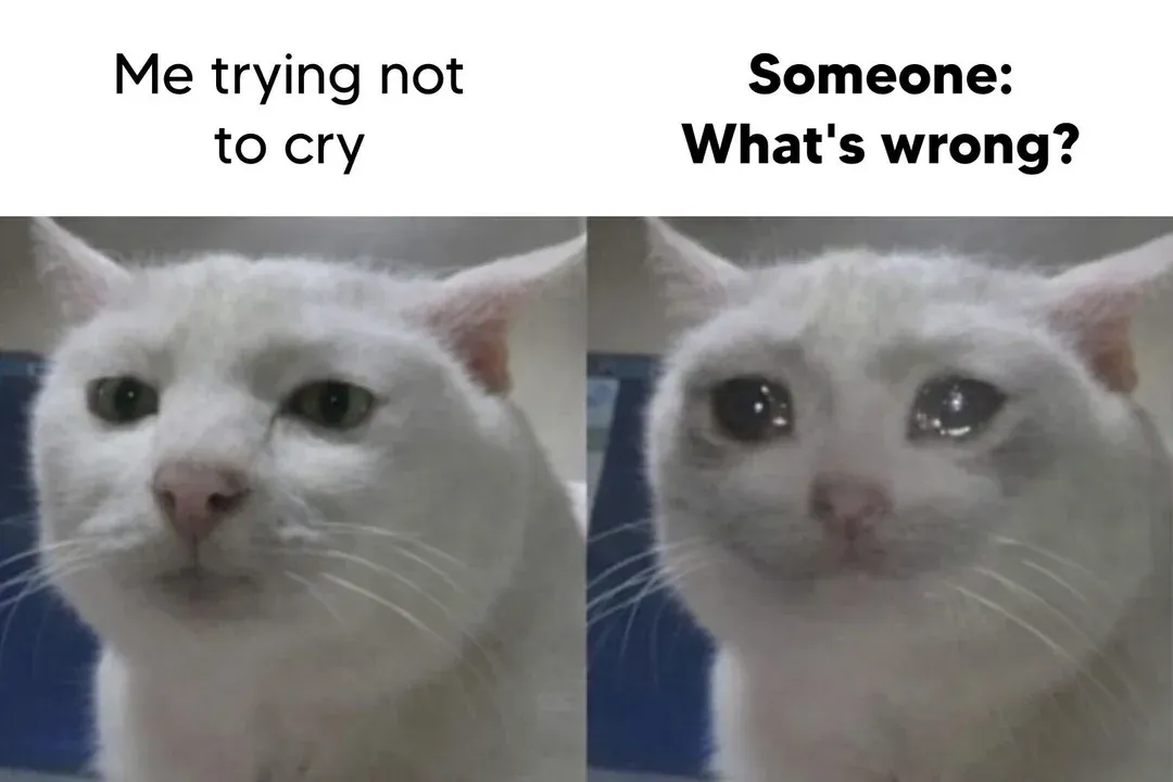 Can you relate to these way too relatable memes?