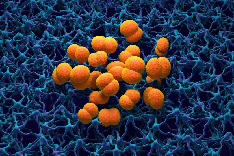 Student dies and two others ill after meningitis outbreak in Reading