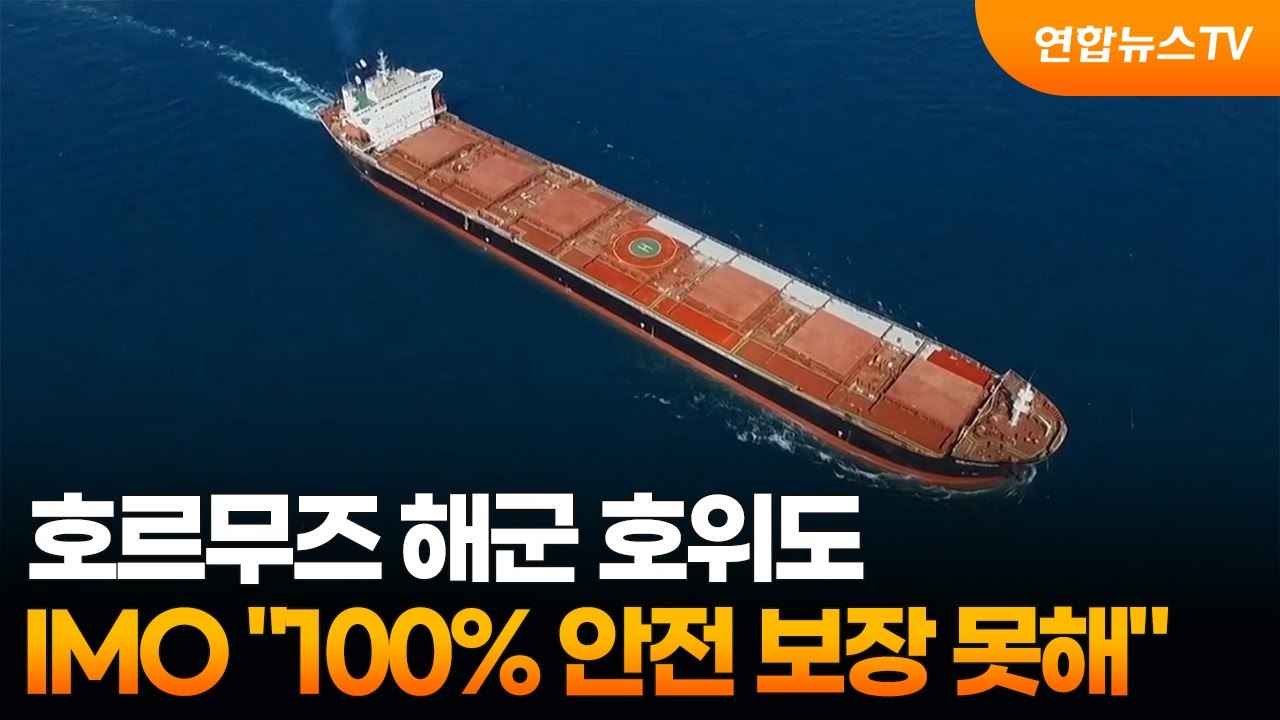 IMO "호르무즈 해군 호위도 100% 안전 보장 못해" / 연합뉴스TV (YonhapnewsTV)