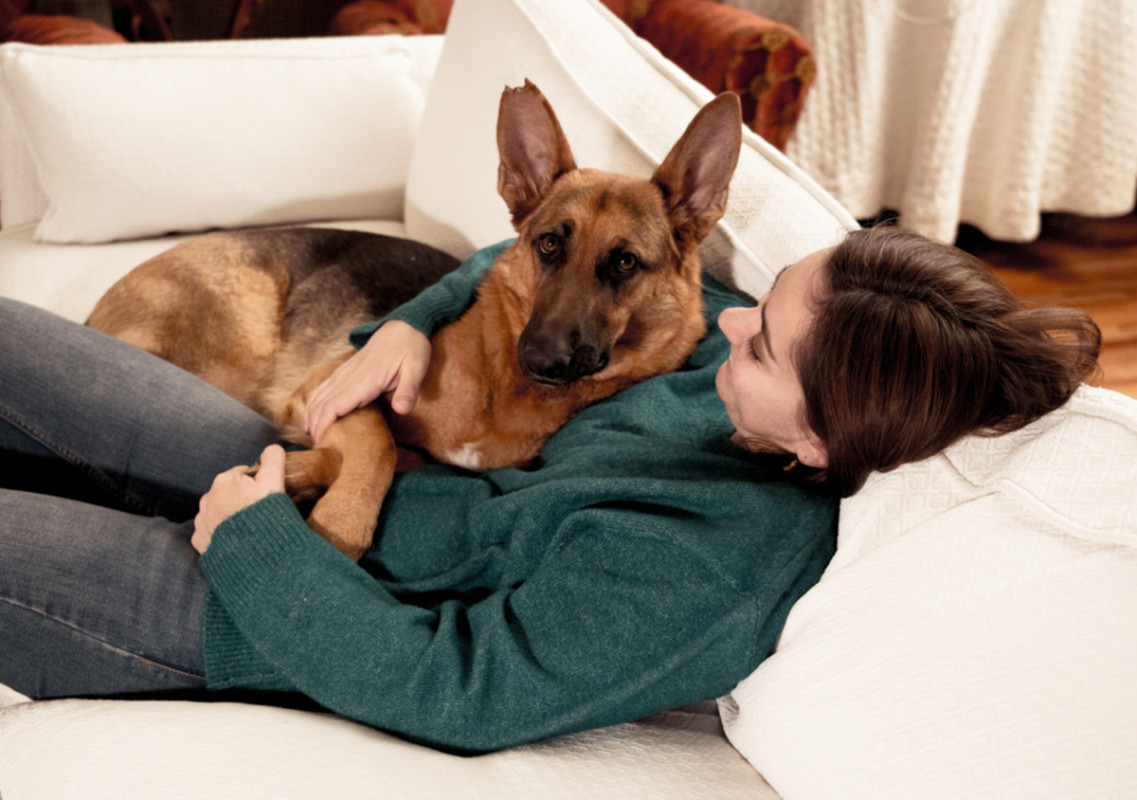 Meet Papa: The German shepherd who chose his favorite pawrent in just ...