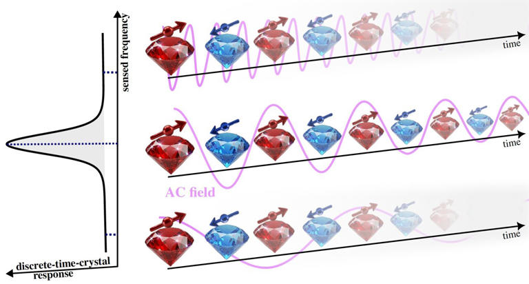 Discrete time crystal acts as a usable sensor for weak magnetic ...
