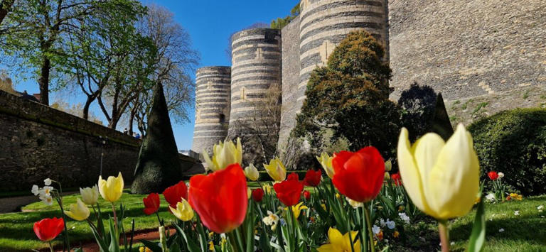 Les douves du château d’Angers rouvrent gratuitement pour fêter le ...