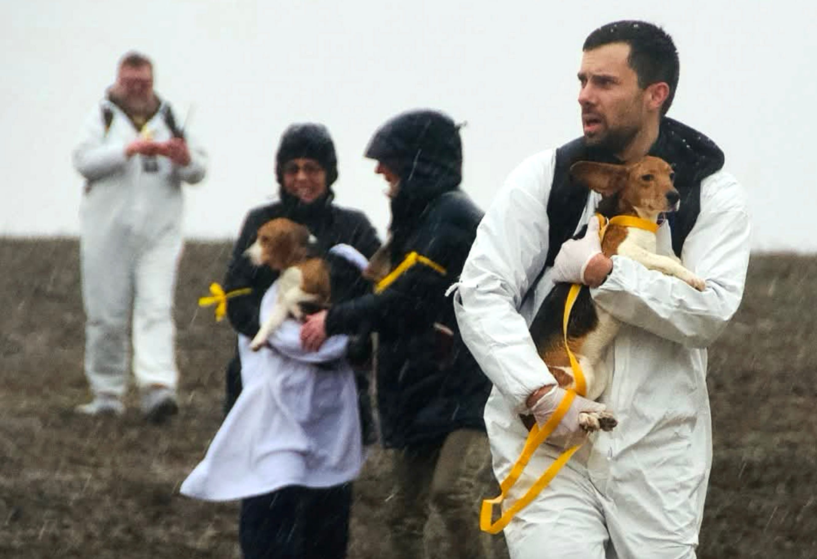 Baywatch actress Alexandra Paul arrested in Wisconsin beagle farm break-in