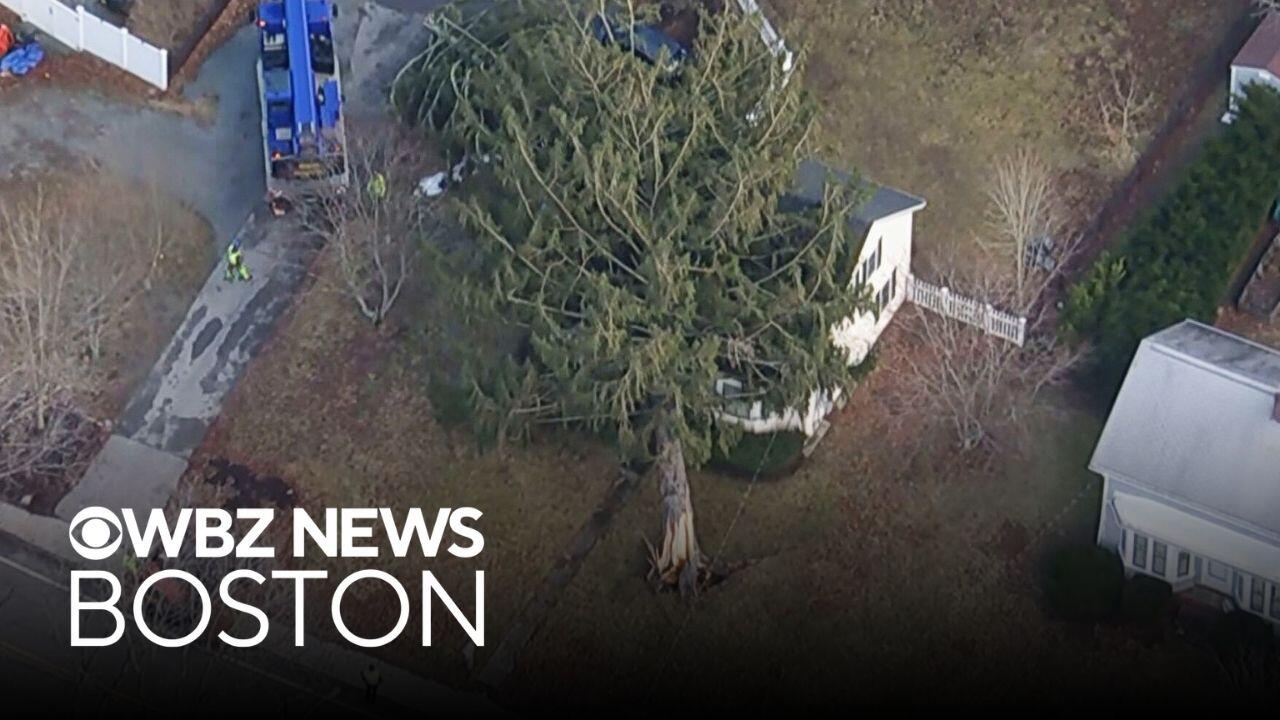 Strong winds pull down trees, knock out power to thousands in Massachusetts