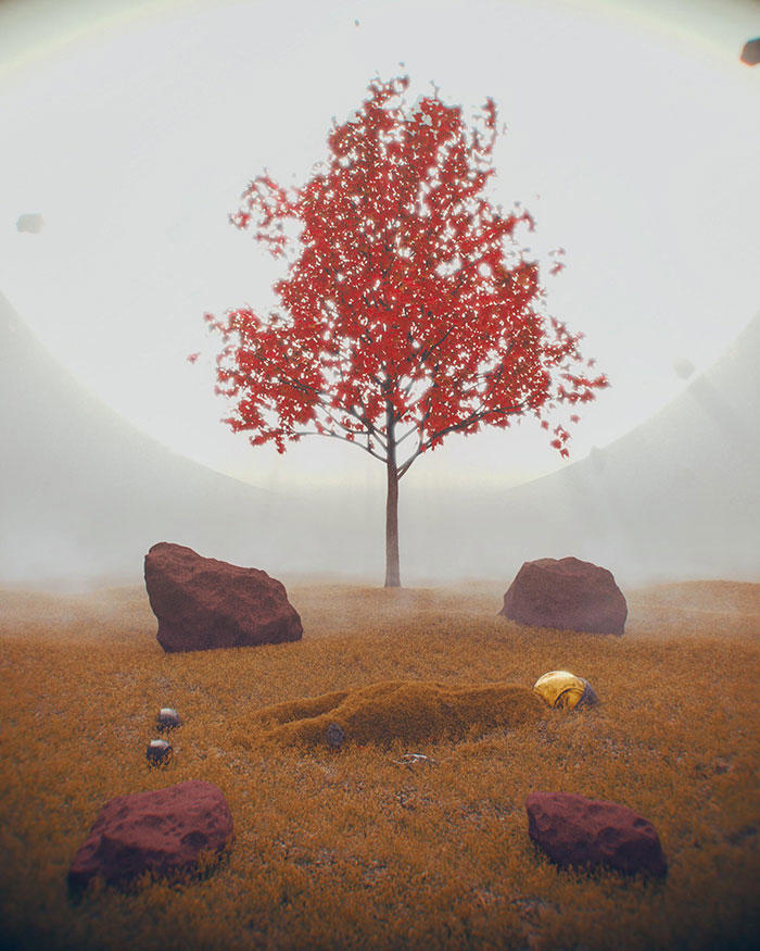 20 people draw their dreams and others offer their explanations