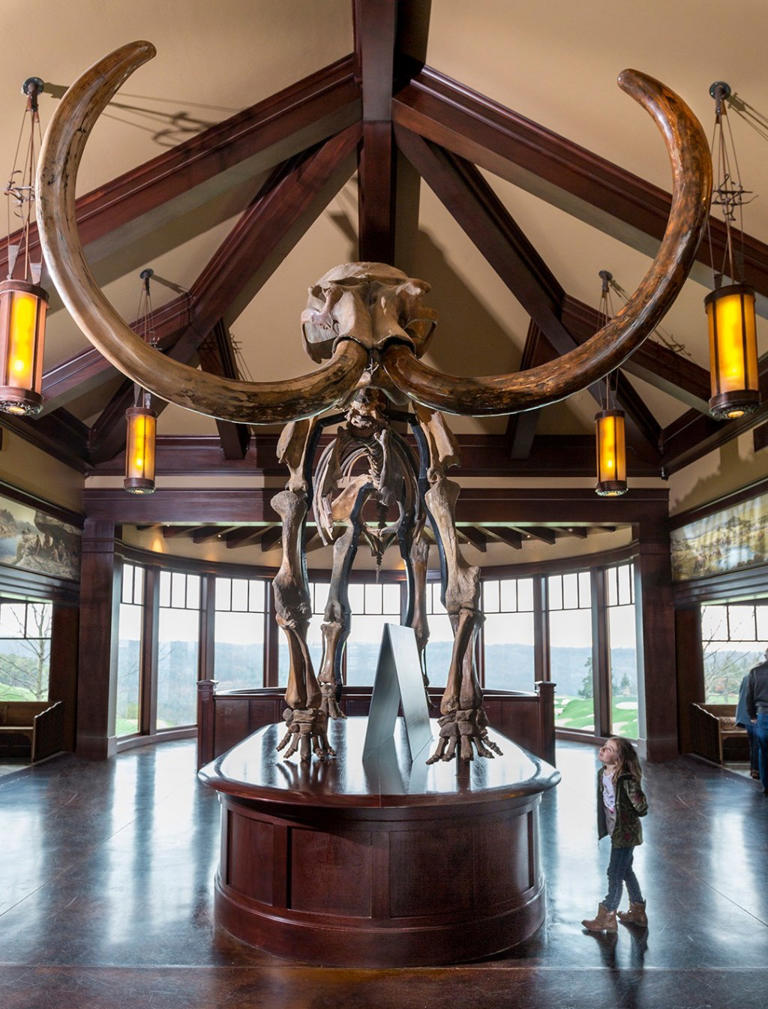 California pals smash 10,000-year-old mammoth tusk worth a fortune ...