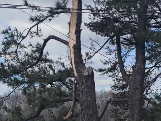 Tornado confirmed in Martinsville after severe weather, NWS says