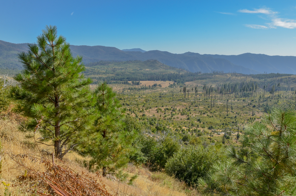 Conservation groups fight a housing project on Yosemite’s border