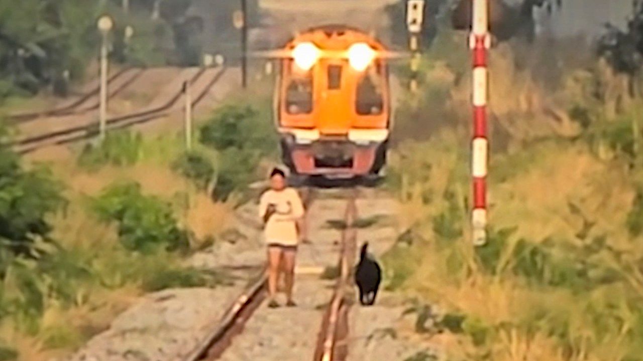 Phone addict dog walker goes on railway line as train approaches