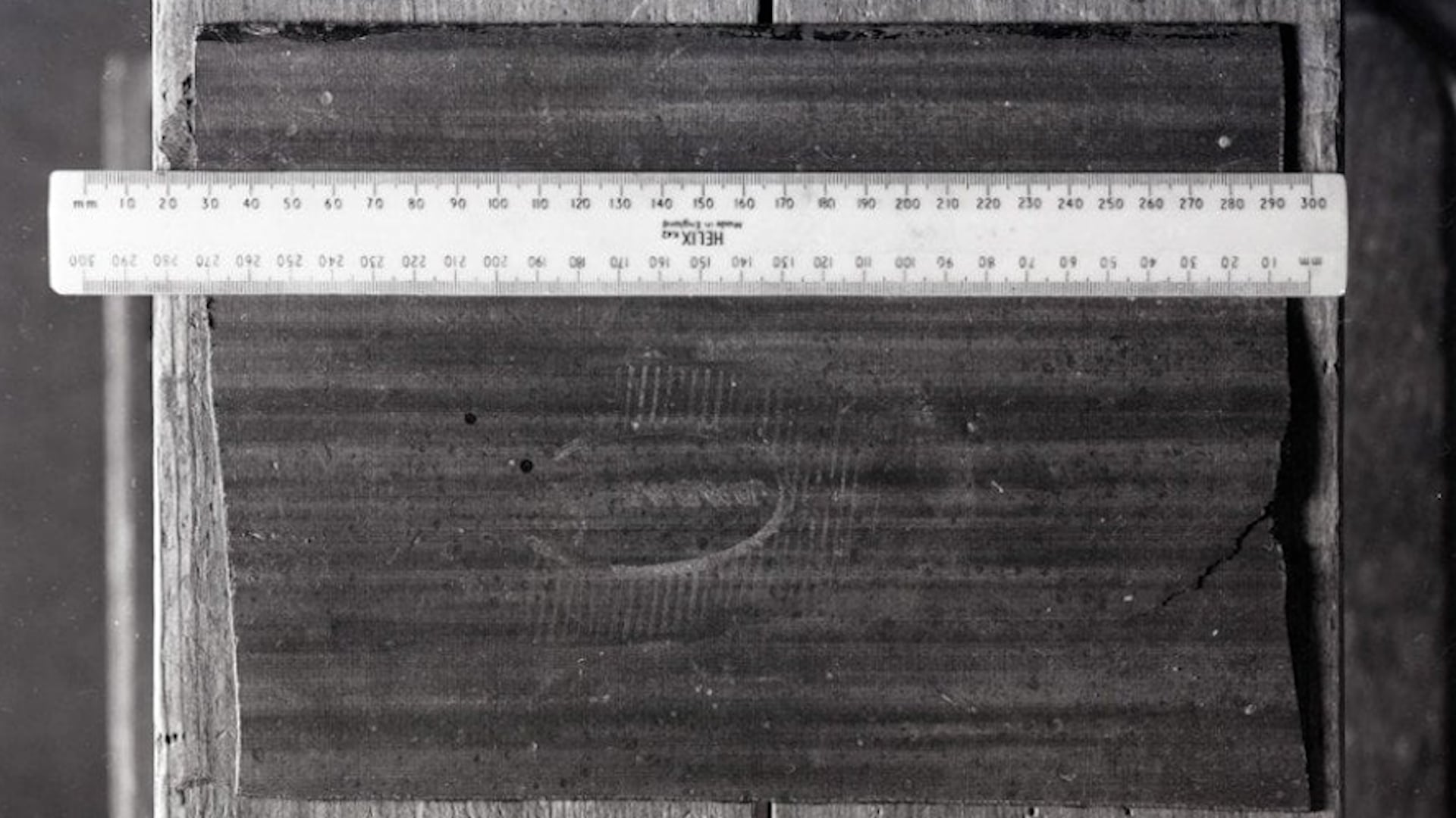 Cold case detective reveals new footprint clue in bid to solve 1982 murder