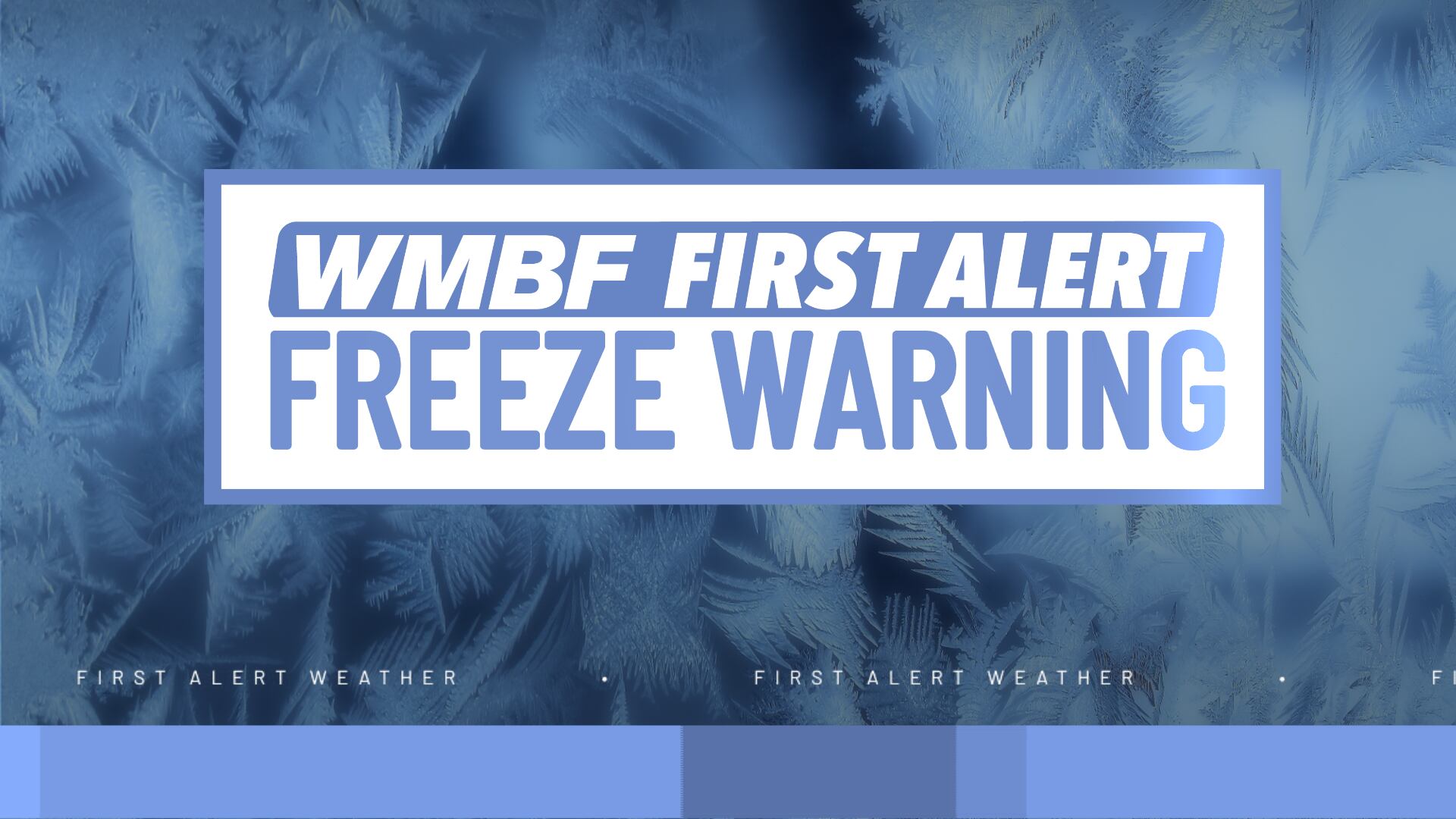 First alert: Freeze warning issued for tomorrow morning