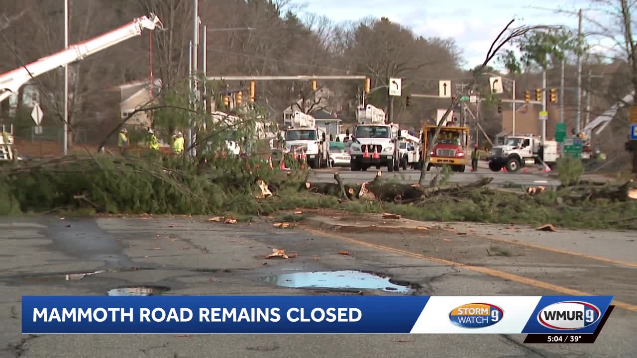 Fallen tree brings down power lines in Manchester