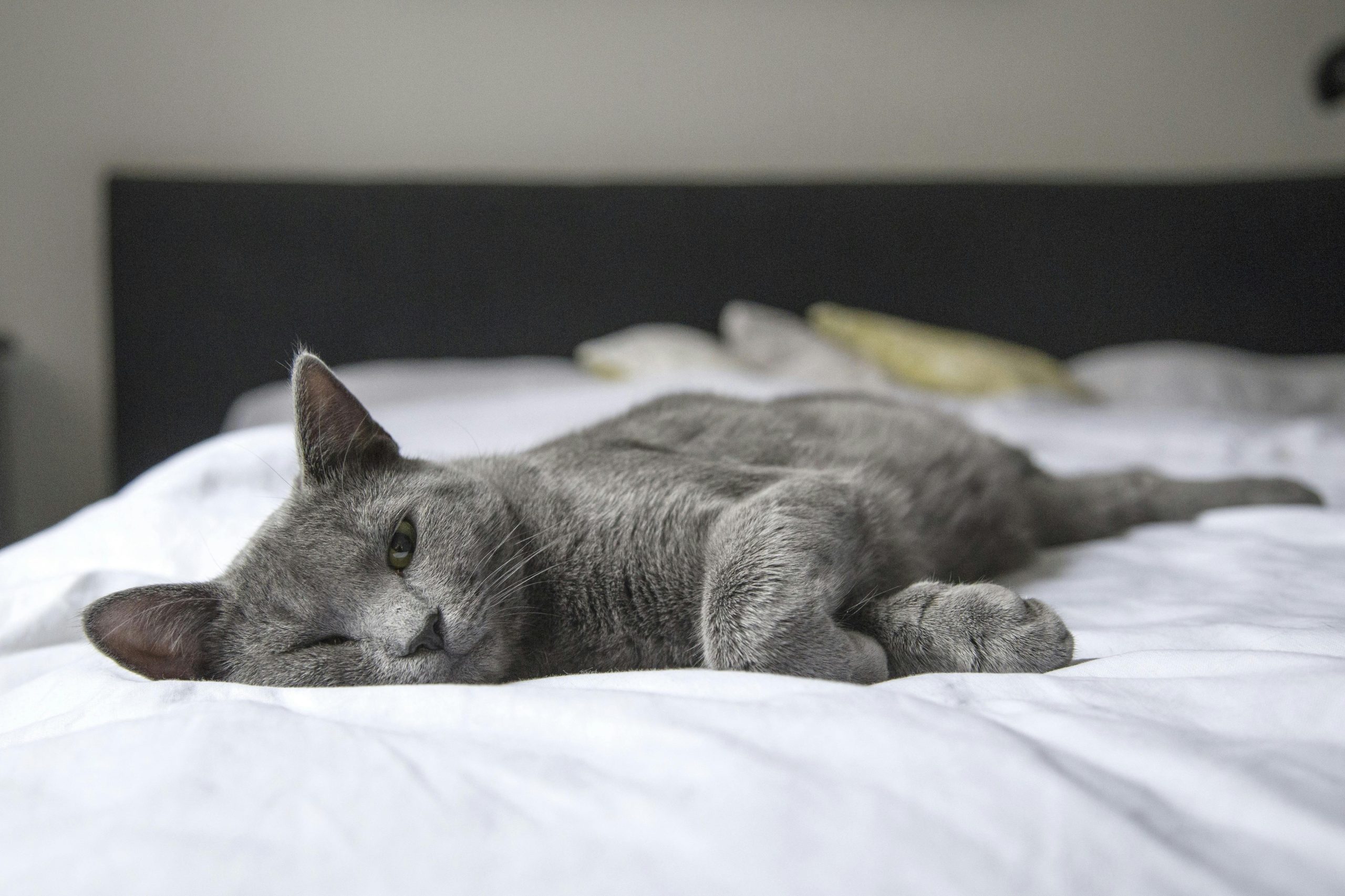 7 best sleep habits (and 7 major mistakes)