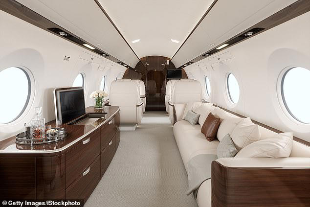 Ultra-rich hiring adult 'babysitters' for everything from luxury ...