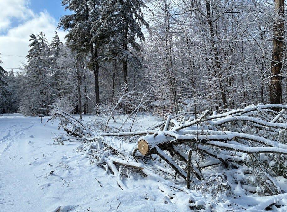 Michigan continues digging out after historic snow storm