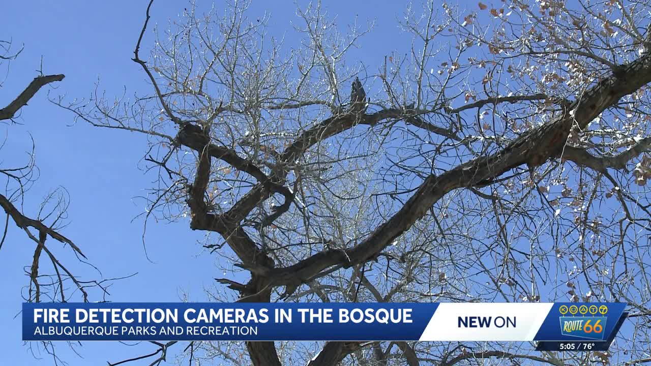 Fire detection cameras placed in the Bosque