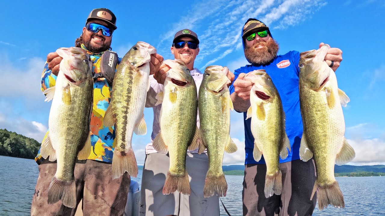 Catch more bass using simple techniques
