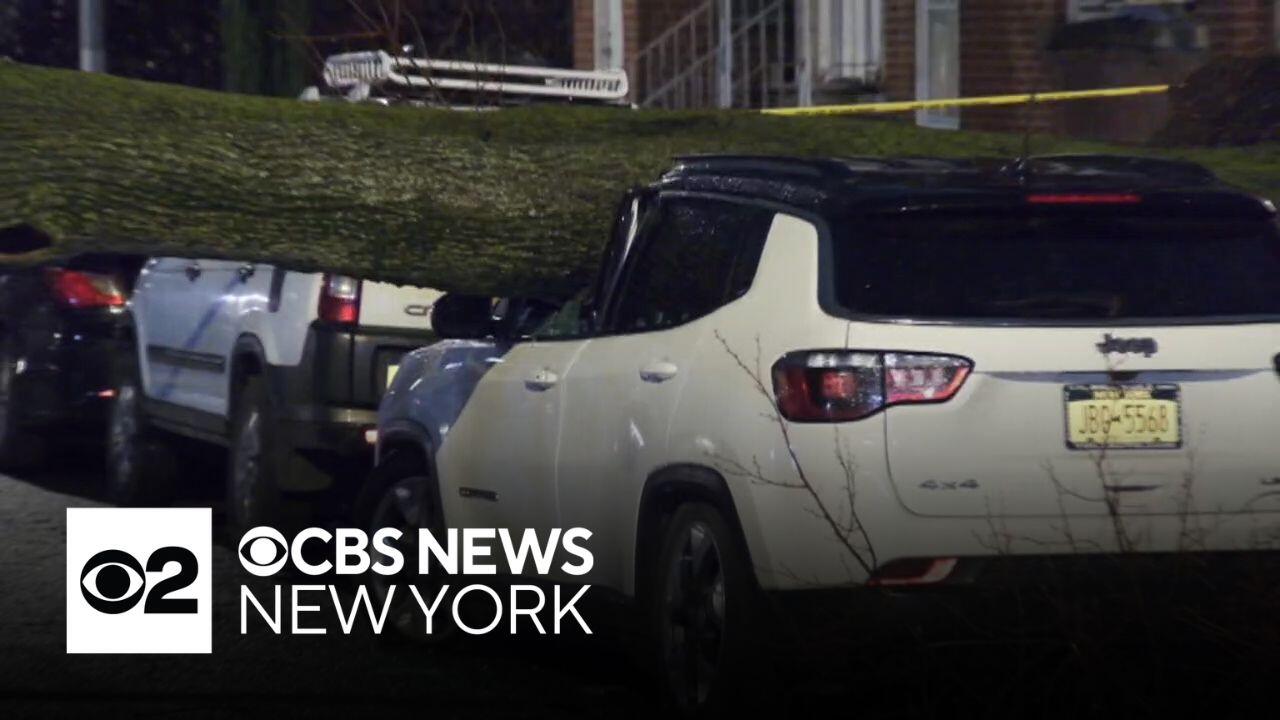 Overnight storm uproots trees in NYC, parts of Westchester
