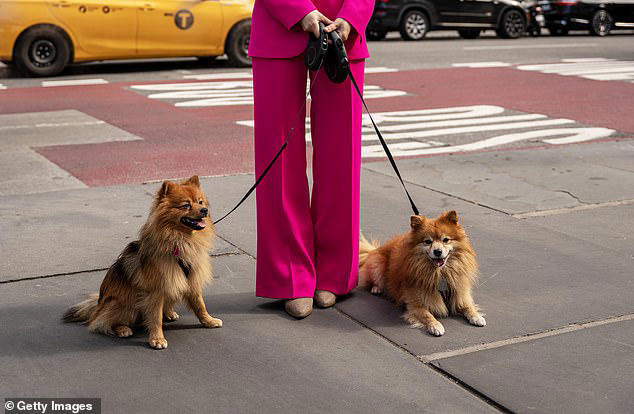 Ultra-rich hiring adult 'babysitters' for everything from luxury ...
