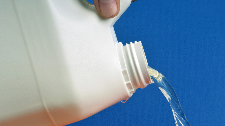 14 myths about washing fruits and vegetables you should stop believing