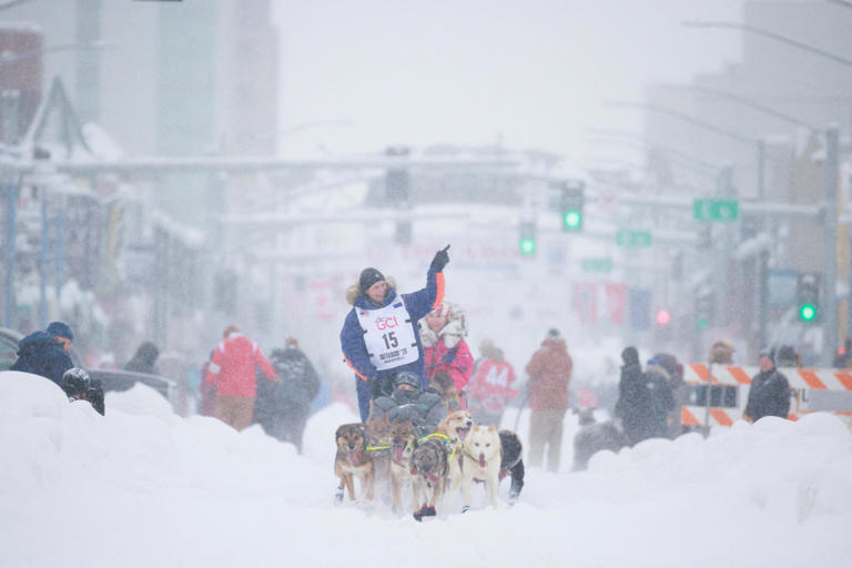 Iditarod dog, 4-year-old Charley, dies during 2026 race, officials say