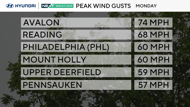 Philadelphia region cleans up after storms knock down trees, power ...