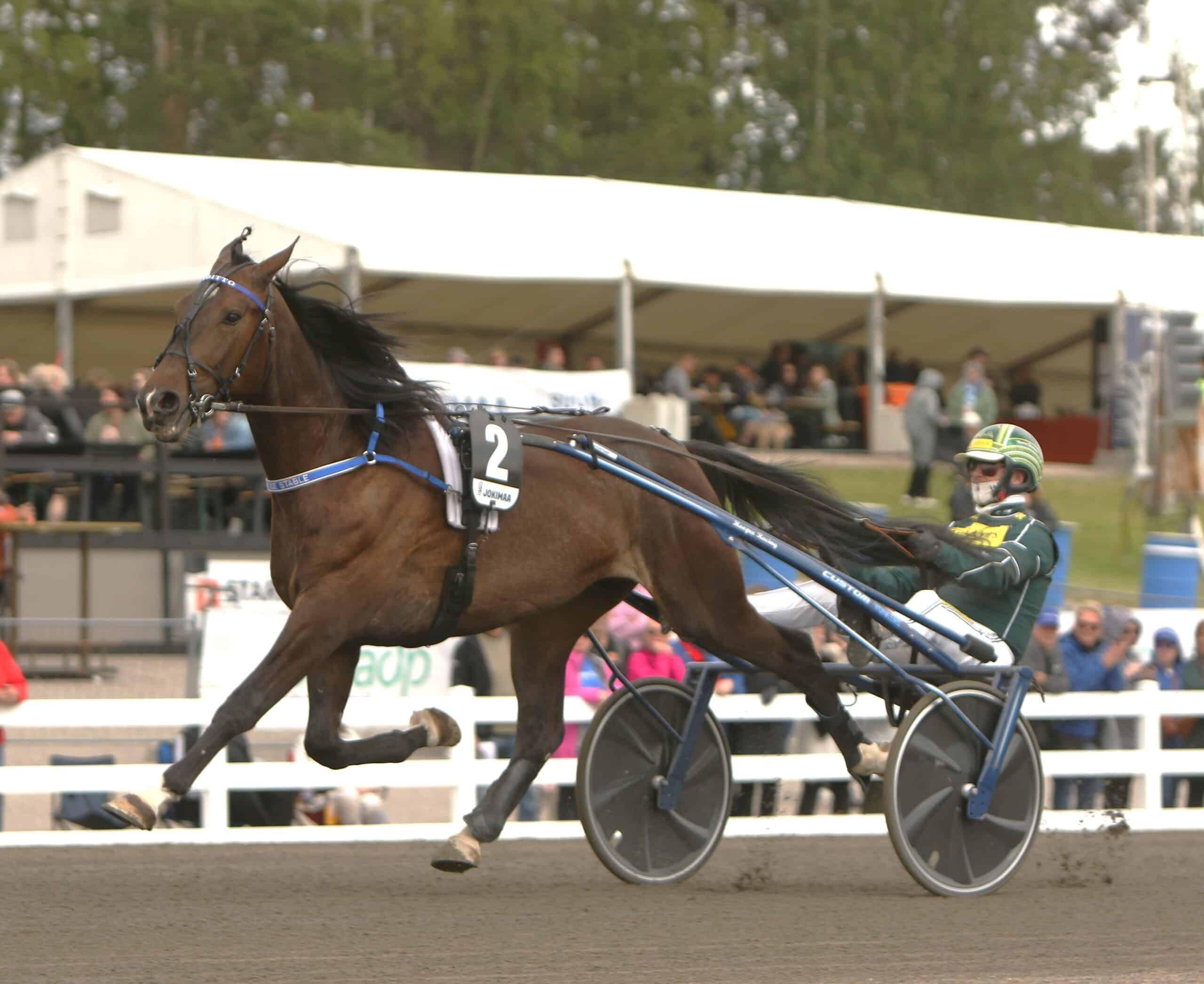 Viikonlopun ravit: perinteinen Kuopio Stakes lauantain tähtihetkenä