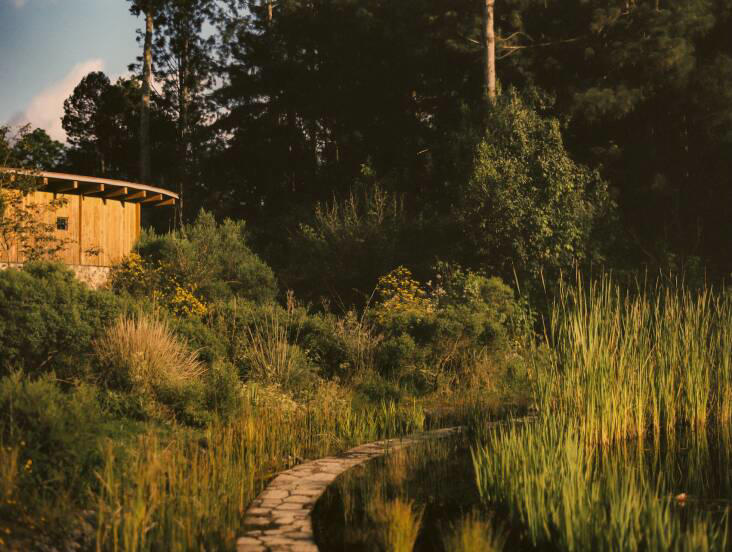 Gardens that can save the world: A new book on small landscapes with ...