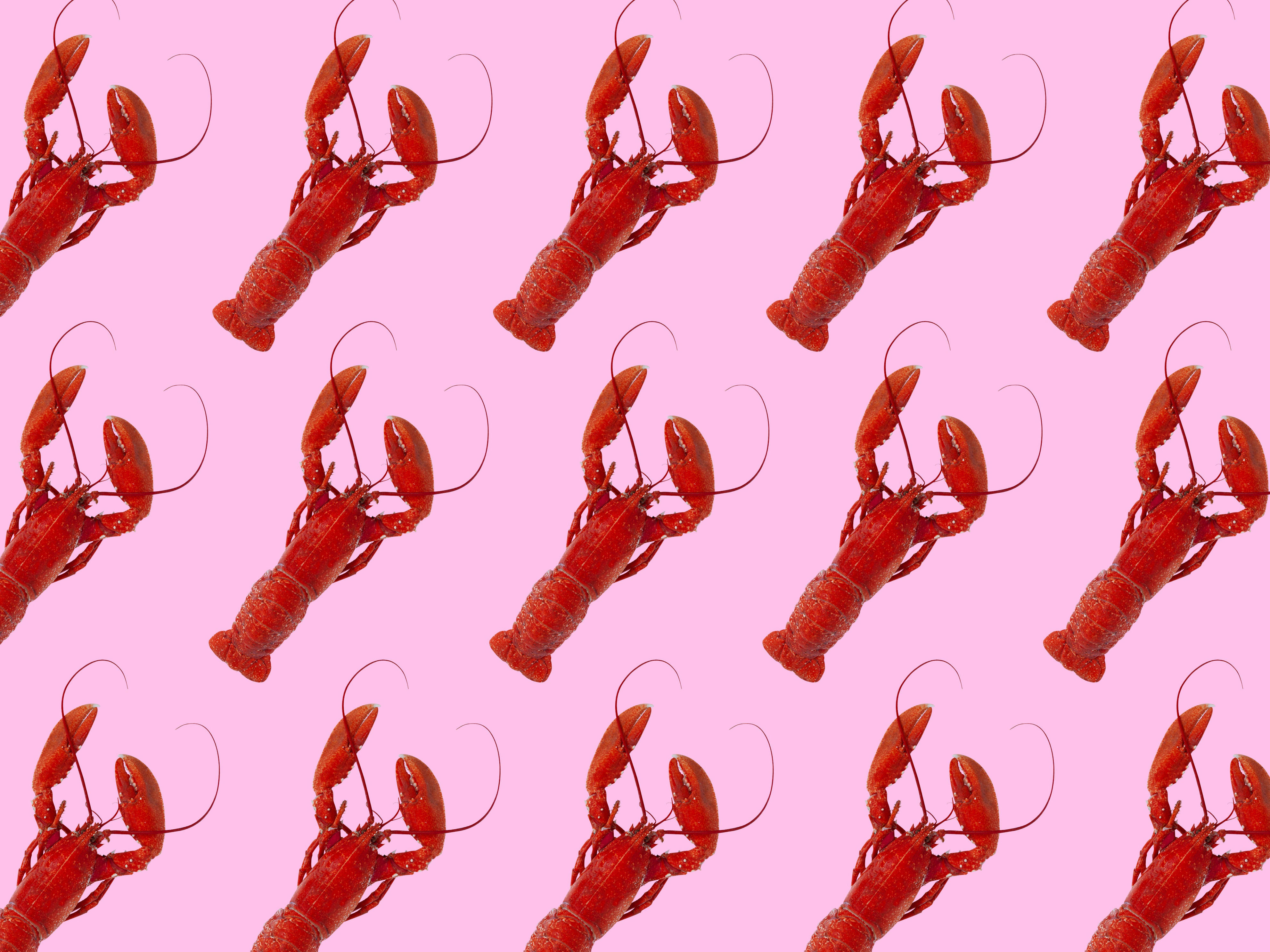 From lobster hats to claw hands: OpenClaw's internet moment