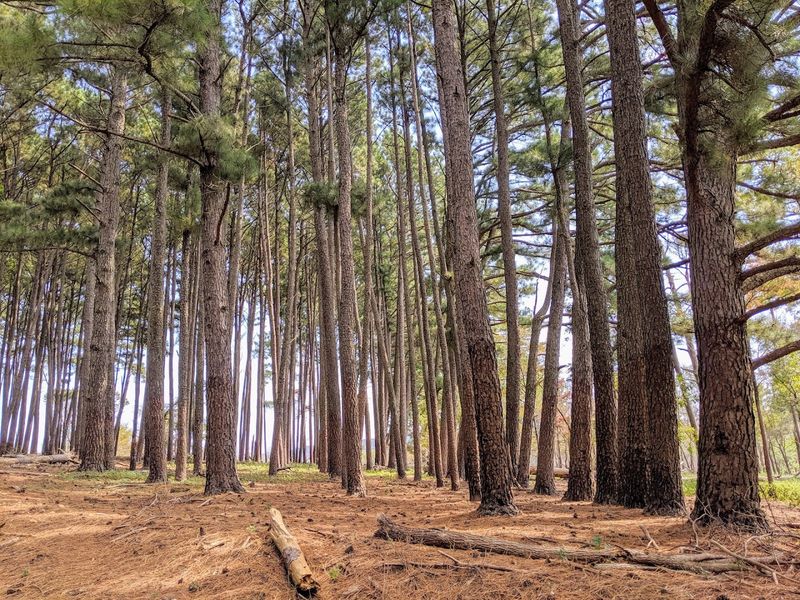 This hidden Oklahoma park might be the lakeside escape you’ve been ...