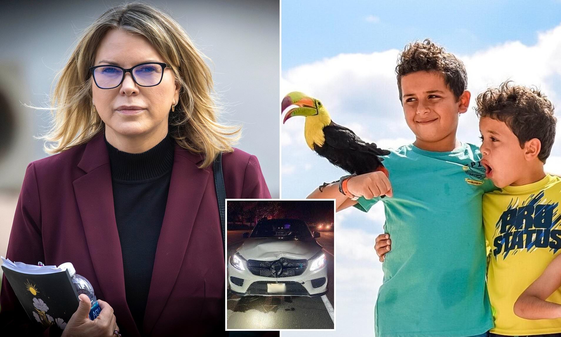 Socialite's fight for freedom comes to end after hit-and-run crash that ...