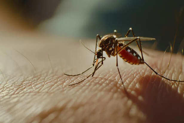 5 animals that can kill without ever touching you