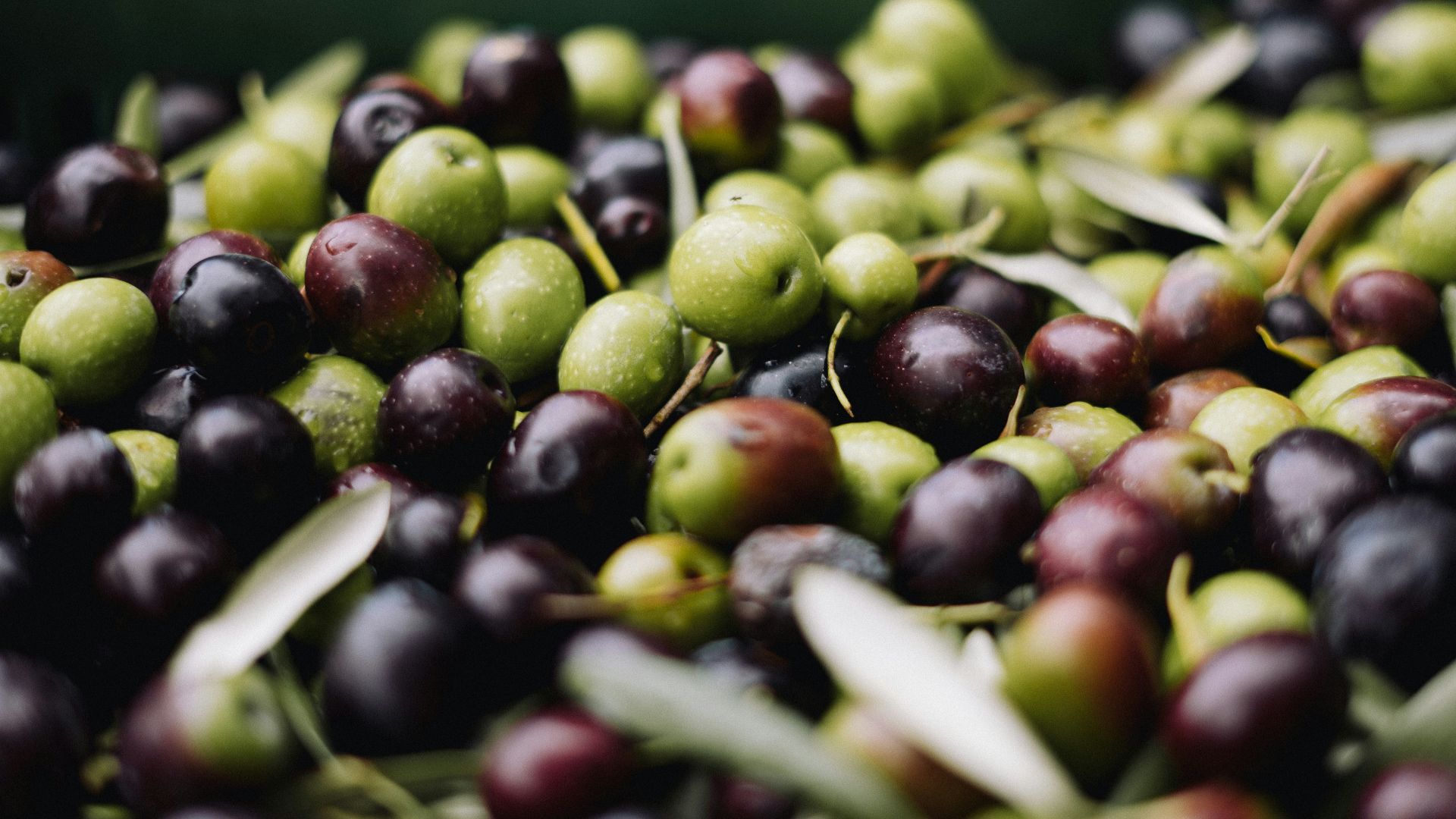 20 of your favorite foods you could actually name your baby after