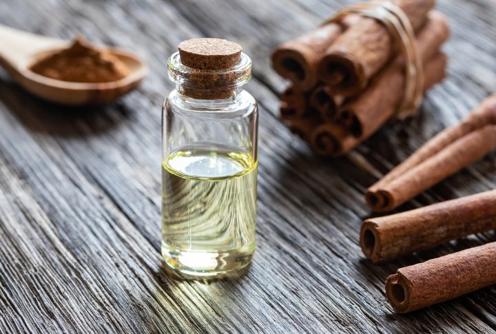 Keep snakes out of your garden with cinnamon oil