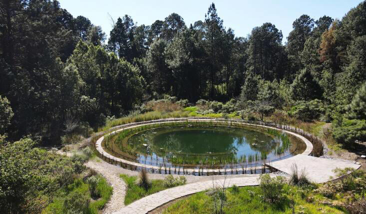 Gardens that can save the world: A new book on small landscapes with ...